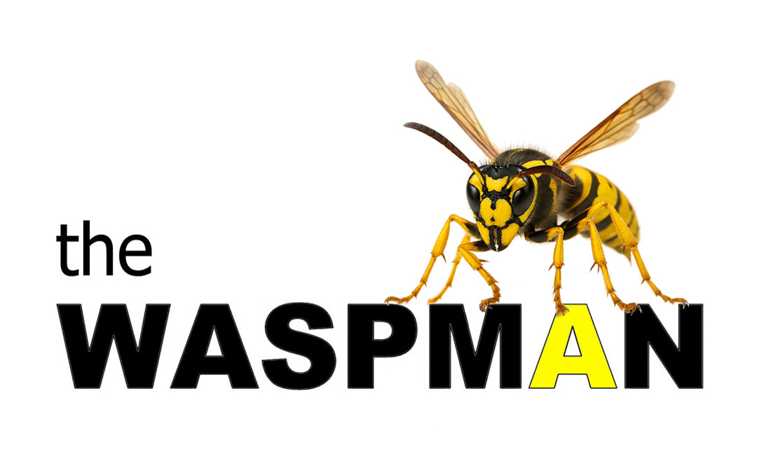 Wasp Nest Service Specialist